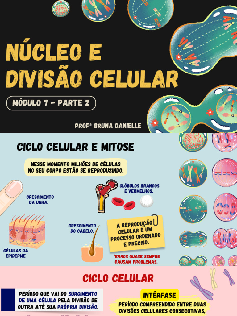 MÃ Dulo 7 - Parte 2 | PDF