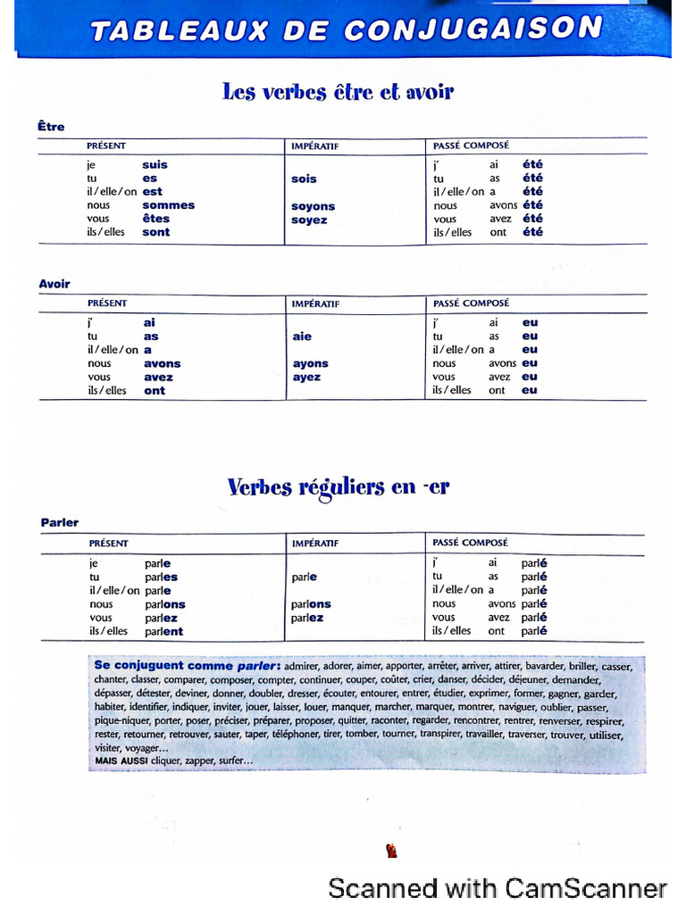 Luna French Verbs Conjugation Table | PDF