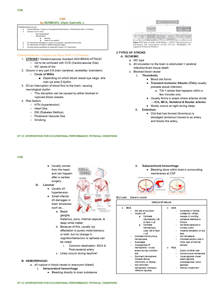Understanding CVA: Clinical Features & OT Interventions | PDF | Stroke ...