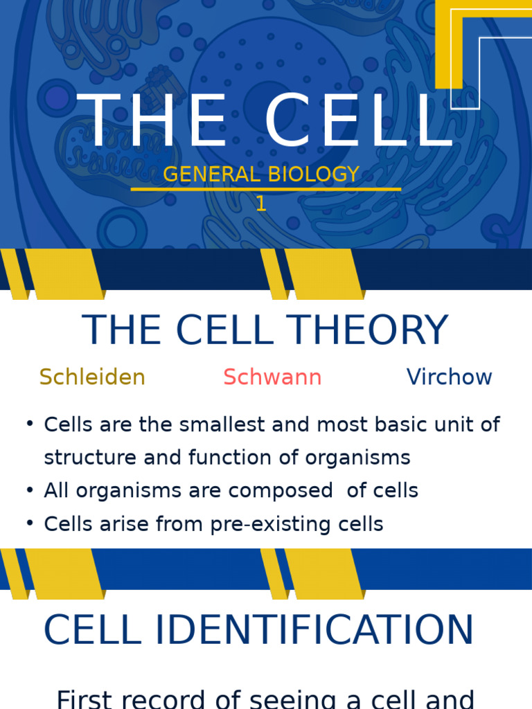 The Cell | PDF