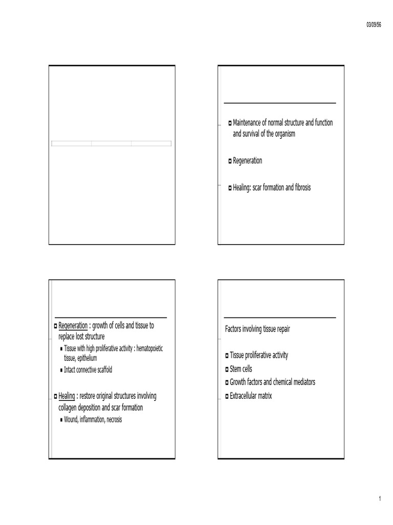 Repair 4 | PDF