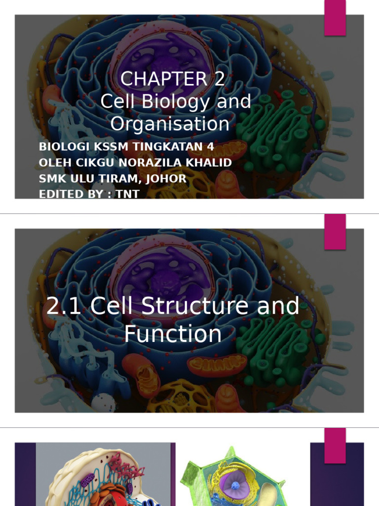 Bio f4 KSSM Chapter 2-Dlp | PDF