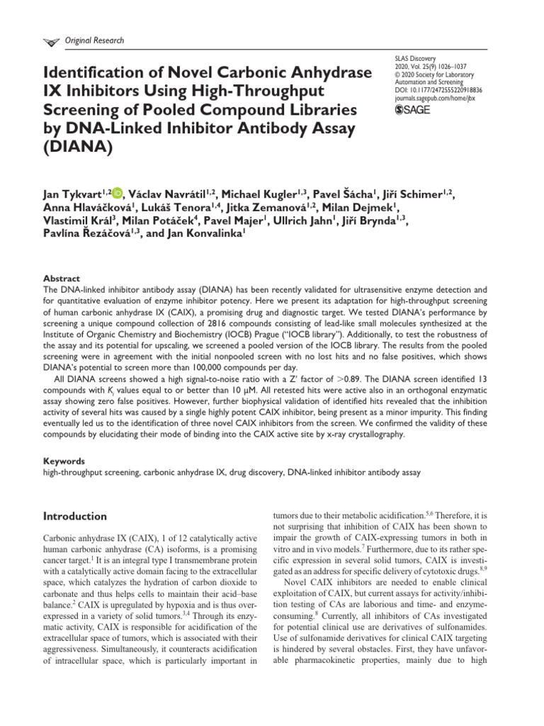 Novel CAIX Inhibitors via DIANA Screening | PDF | Enzyme Inhibitor ...
