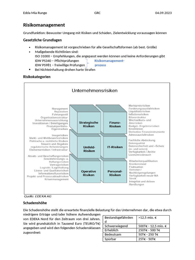 Übersicht Risikomanagement | PDF