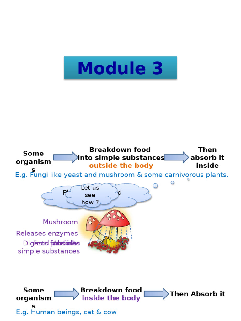 Module_3 | PDF
