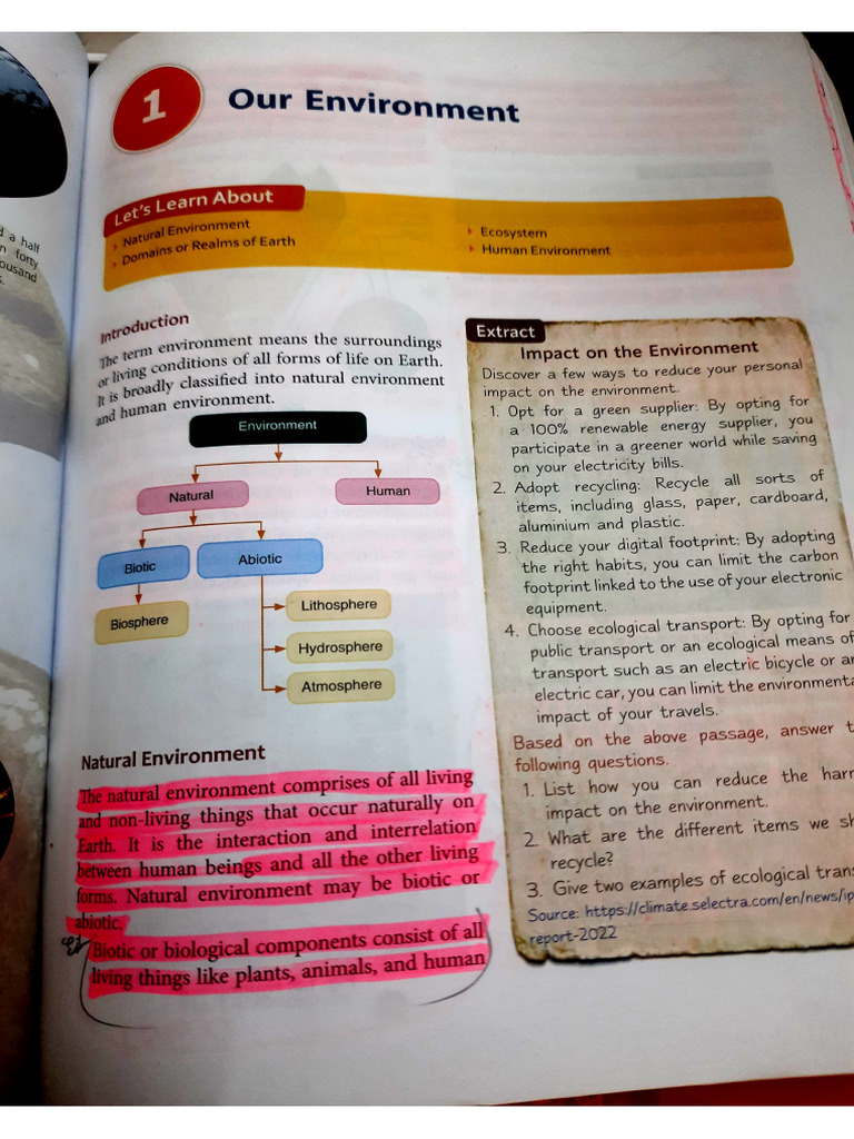 Social Textbook Notes | PDF