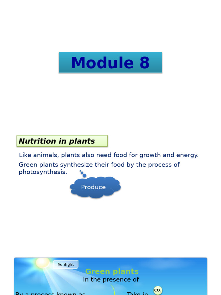 Module 8 | PDF
