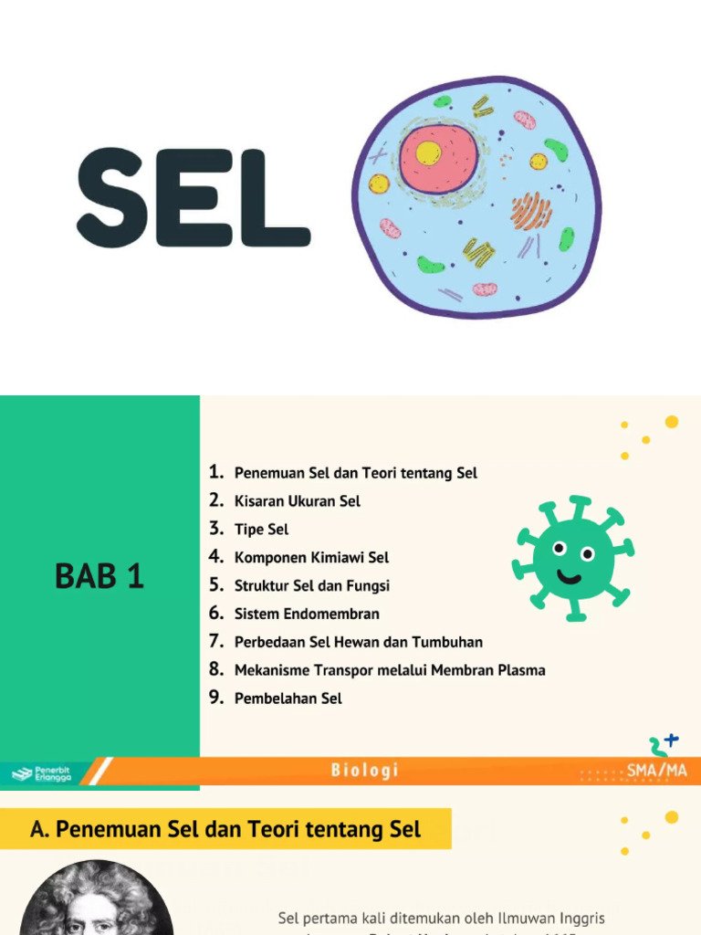 SEL | PDF