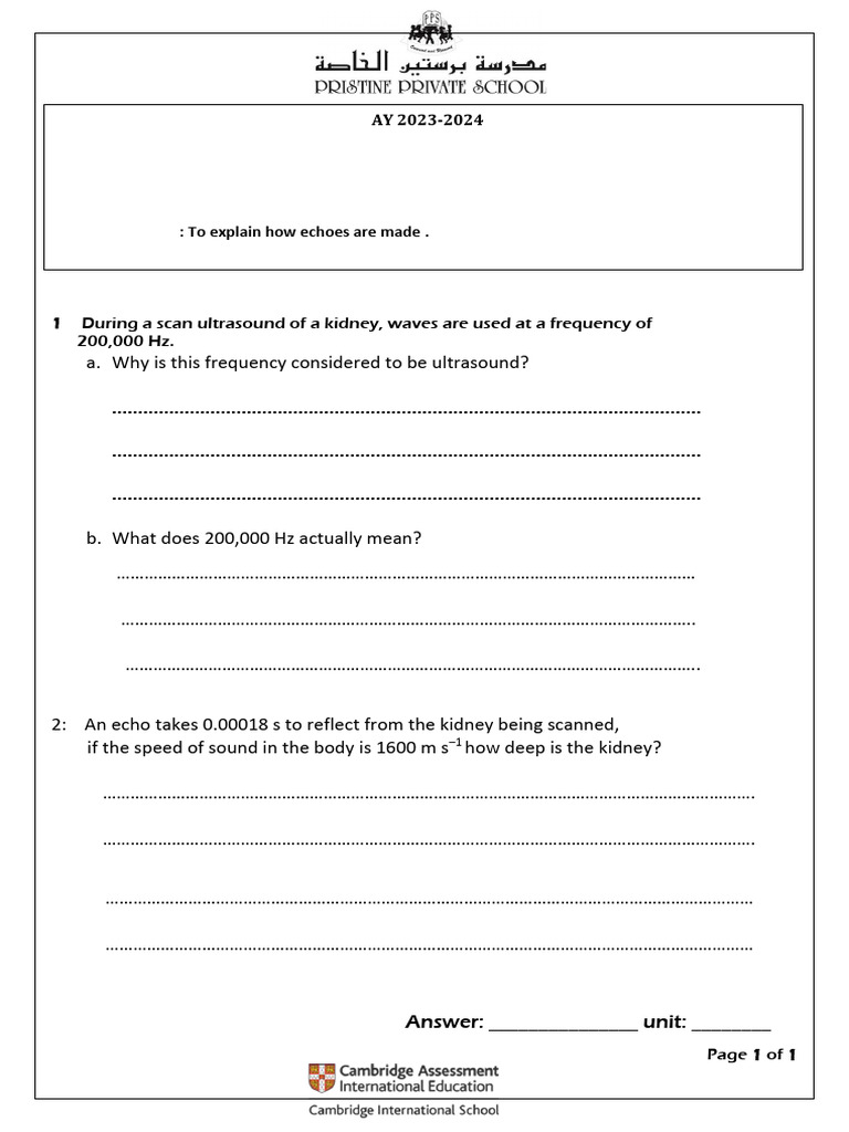 Task Sheet Ecohes 2 Aliya Batool Rizvi | PDF