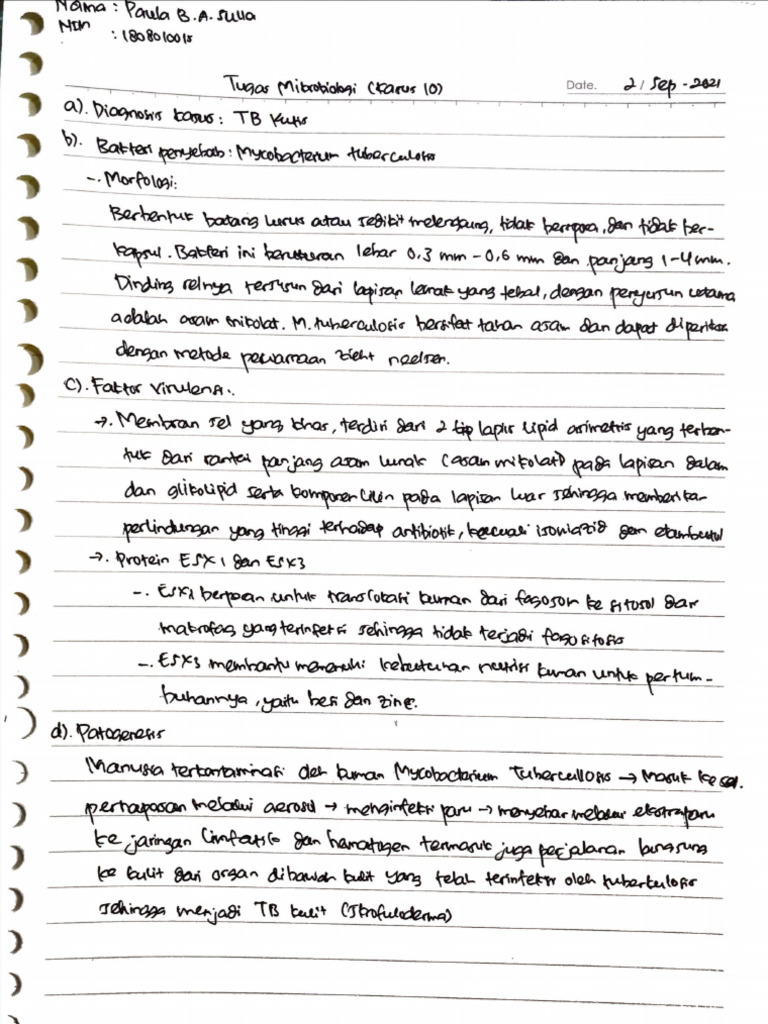 Mikrobiologi Ked. Tropis Bakteri | PDF