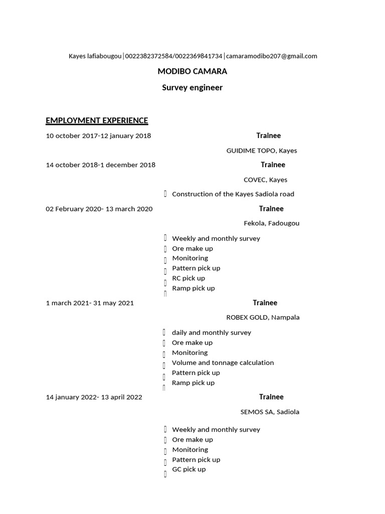 CV en Anglais | PDF