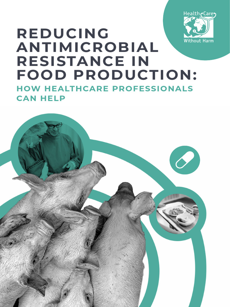 Factsheet_Reducing-AMR-in-food-production | PDF