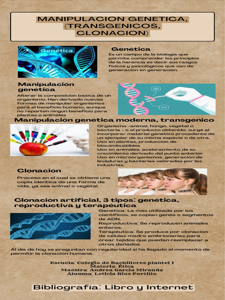 Infografía de La Manipulación Genética | PDF