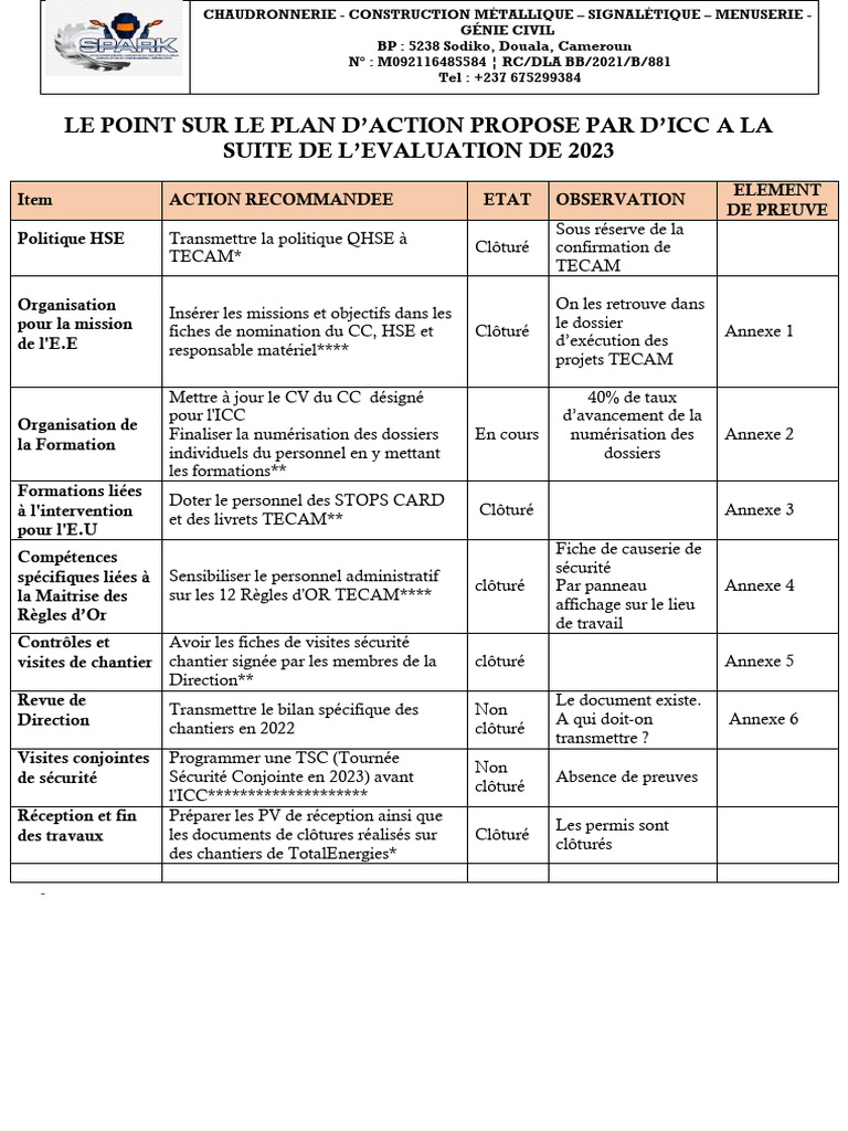 Mise Au Point Du Plan D'action Des Recommendations Icc Tecam | PDF