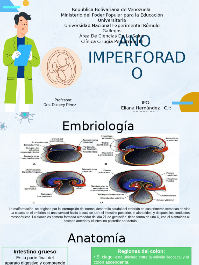 Malformaciones Anorrectales: Ano Imperforado | PDF | Gastroenterologia ...