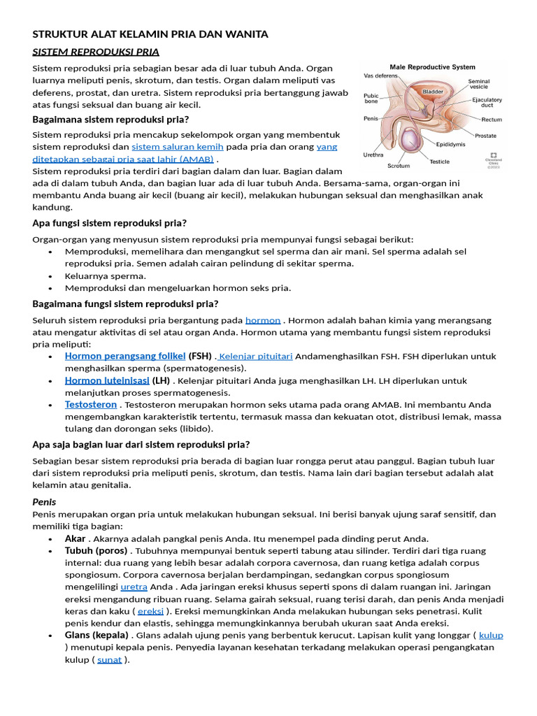 Struktur Alat Kelamin Pria Dan Wanita | PDF