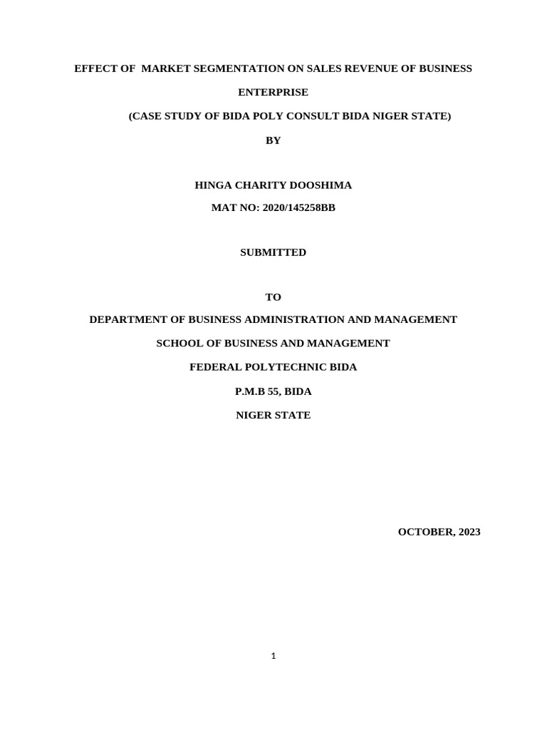 Market Segmentation Work | PDF