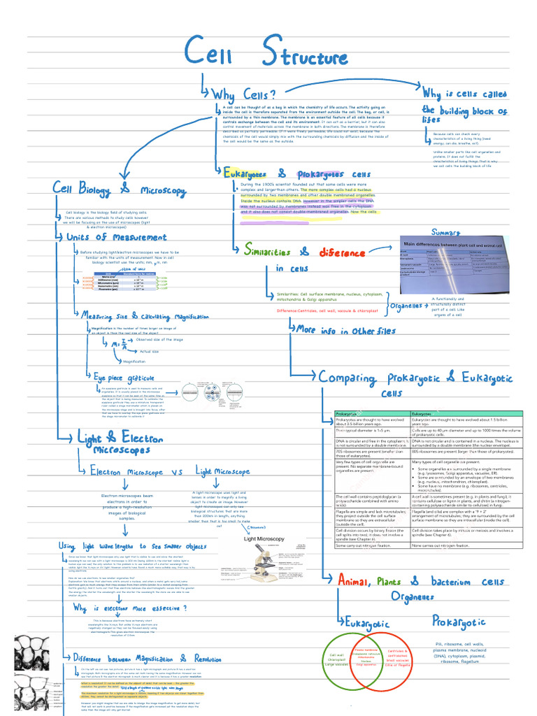 Cell Structure (Chapter 1) 4mn | PDF