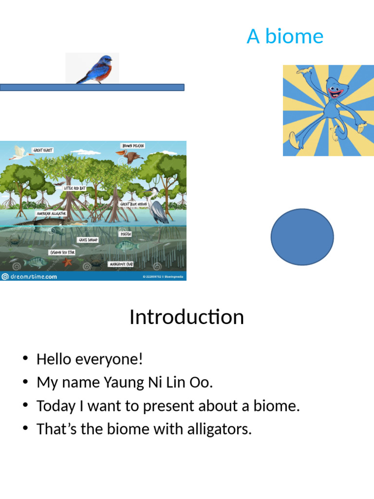 A Biome | PDF