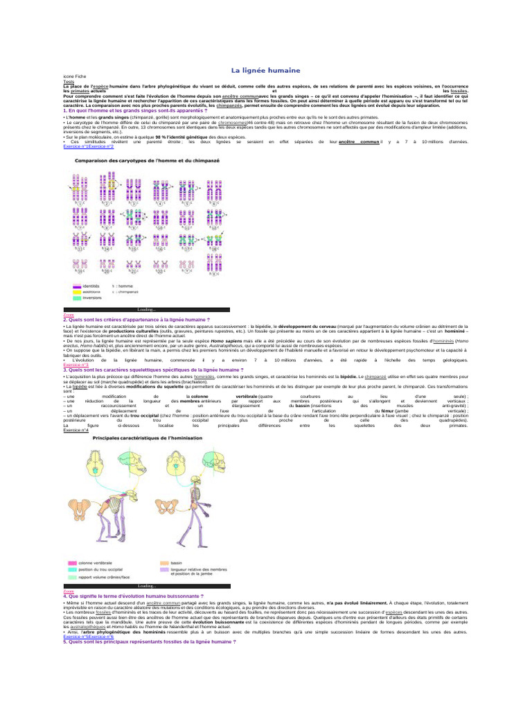 La Lignée Humaine Pdf
