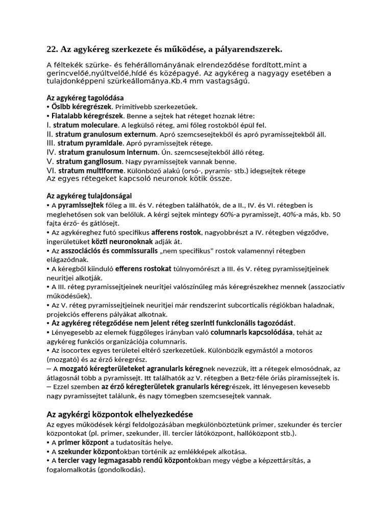 22 Agykéreg R | PDF