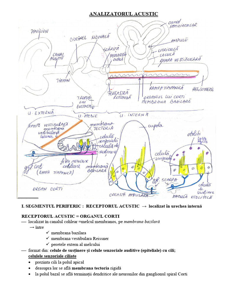 Wa0004. | PDF