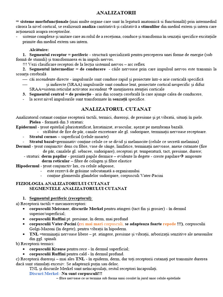 ANALIZATORUL CUTANAT - Vizual Bac | PDF