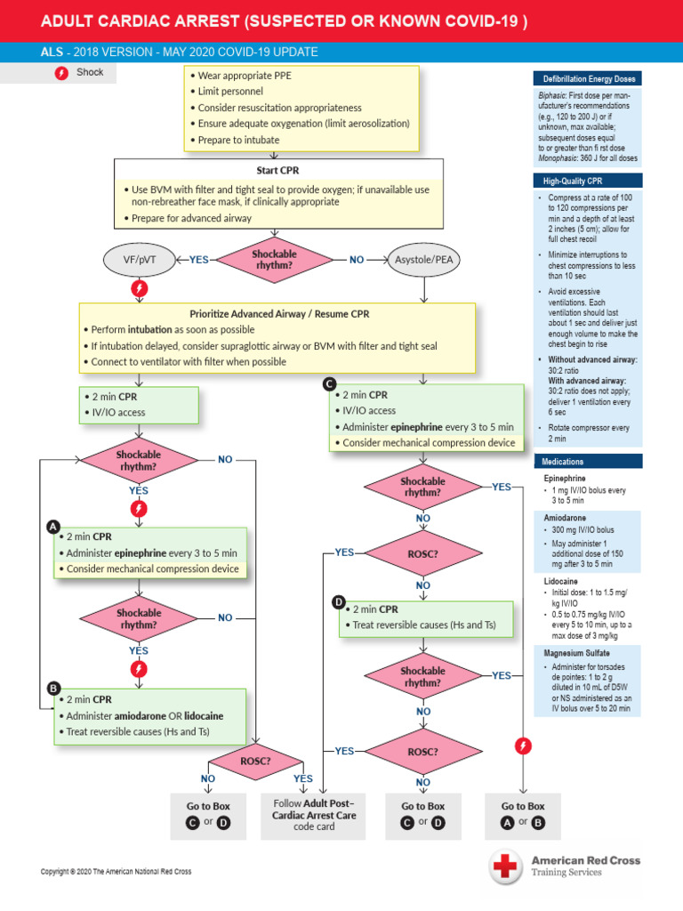 ALS Treatment Guidelines - Cardiac Arrest - Adult For Suspected or ...