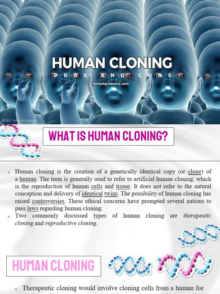Human Cloning | PDF