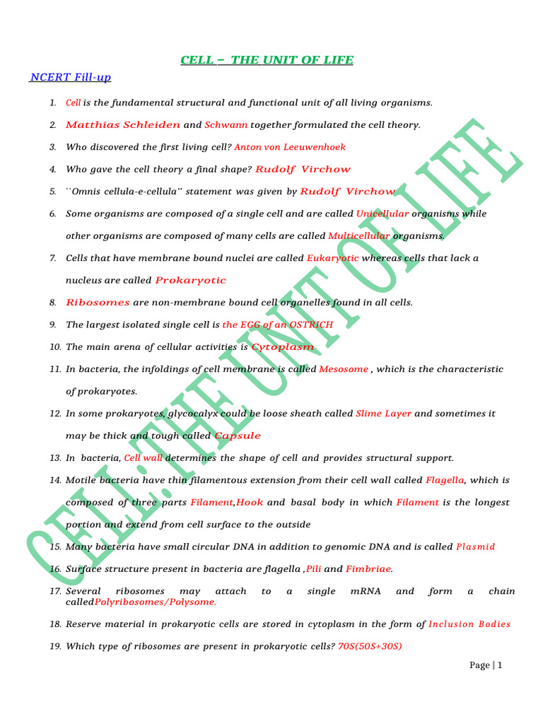 Cell - The Unit of Life | PDF