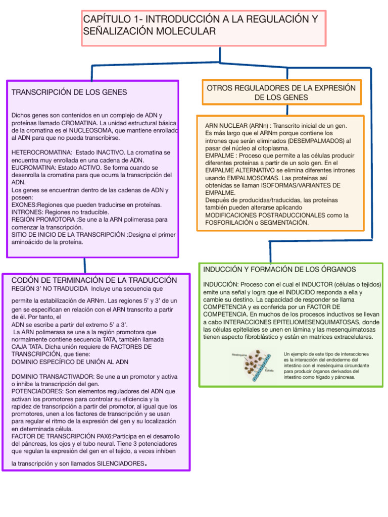 Tarea 1 Emb | PDF
