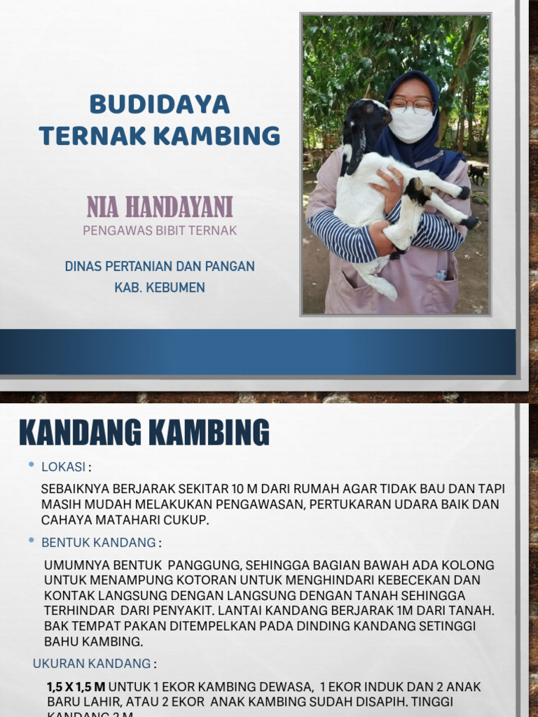 Budidaya Kambing | PDF