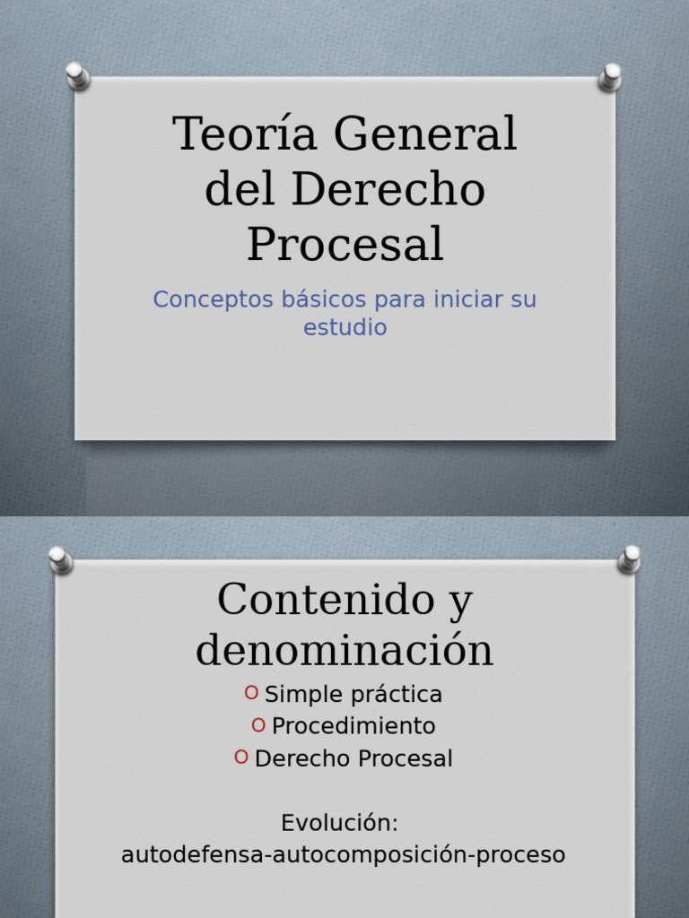 Teoría General Del Derecho Procesal-Conceptos Básicos | PDF