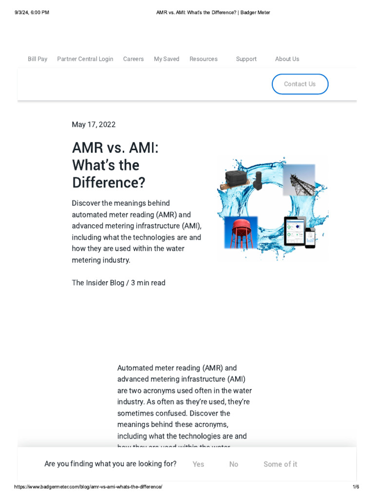AMR and Ami | PDF