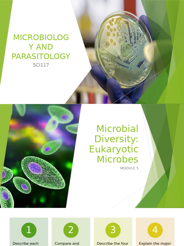 Microbiology and Parasitology Module 5 | PDF