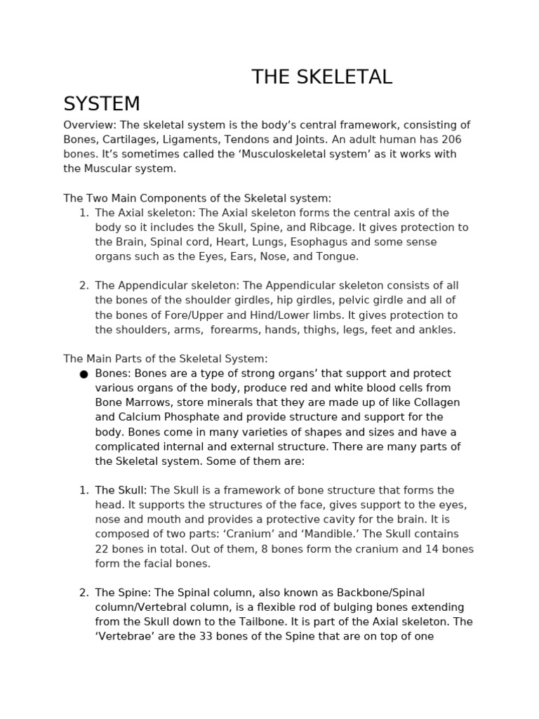 The Skeletal System | PDF