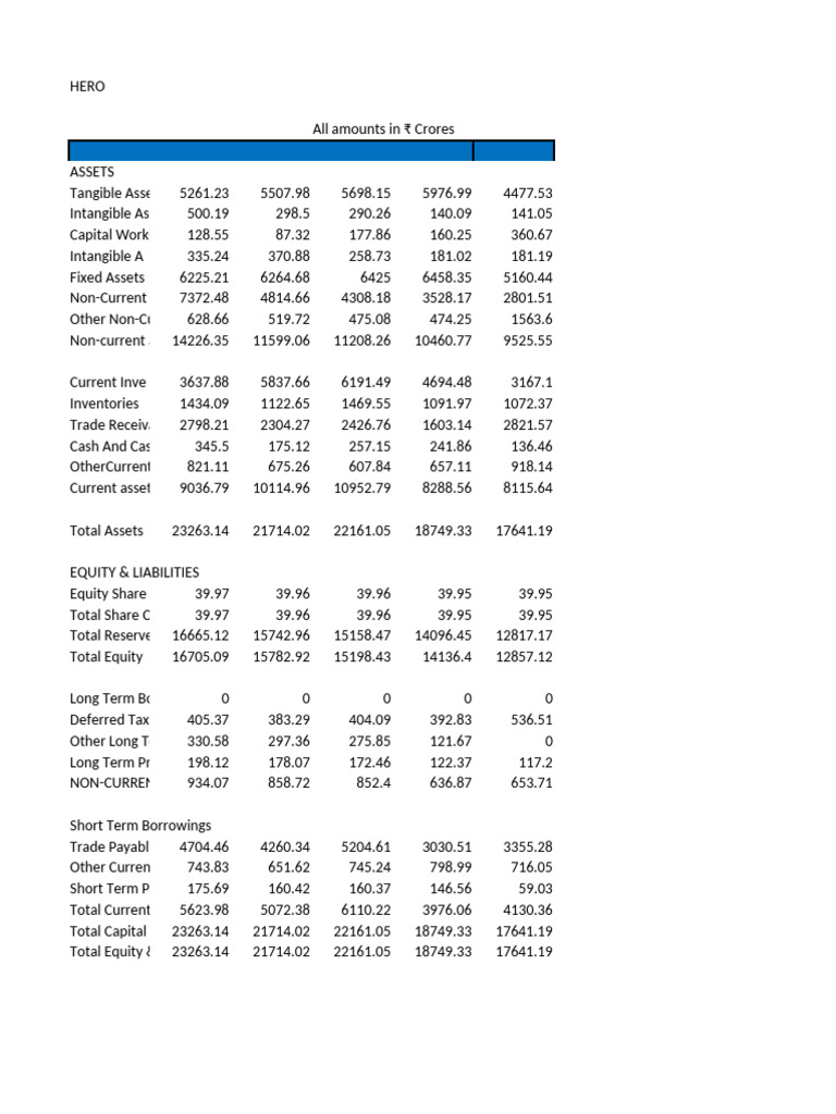 Hero balance sheet 5 | PDF