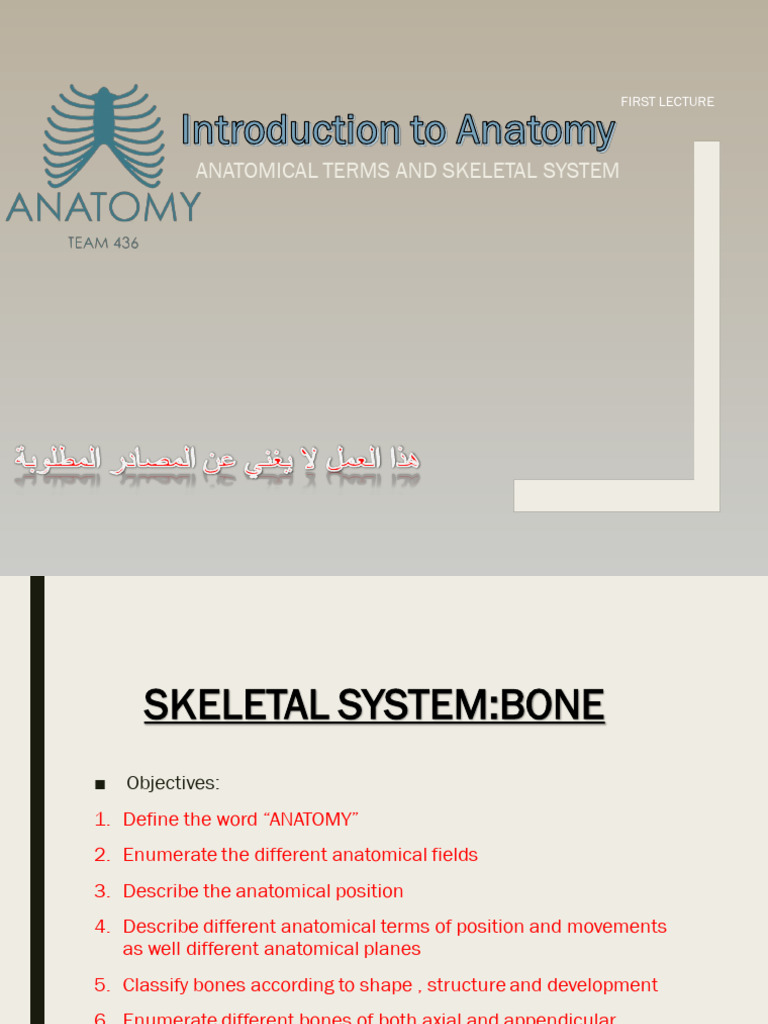 1 - Introduction To Anatomy (Updated) | PDF