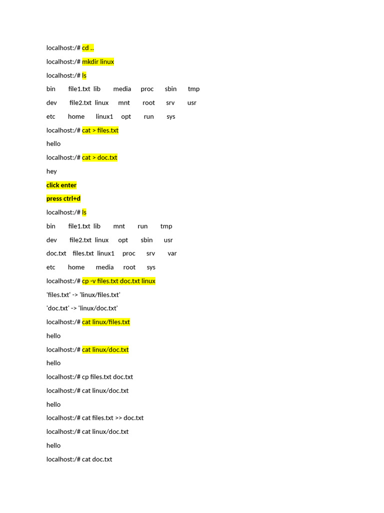 Local Host | PDF