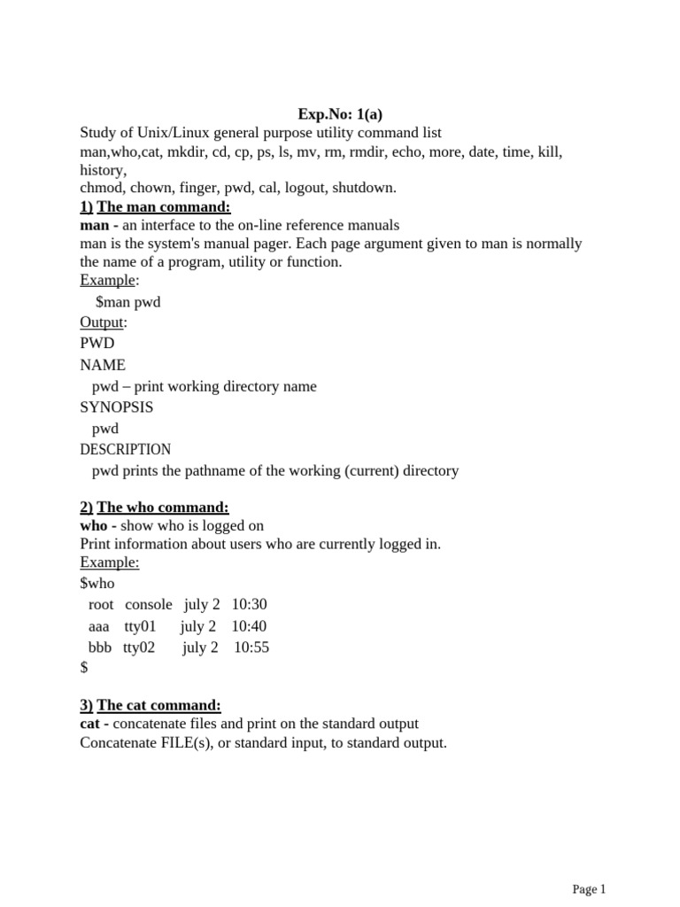 Basic Commands | PDF