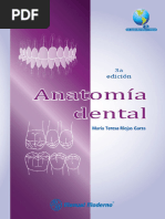 Cíngulo Dental: Revisión y Funciones | PDF | Boca | Odontología
