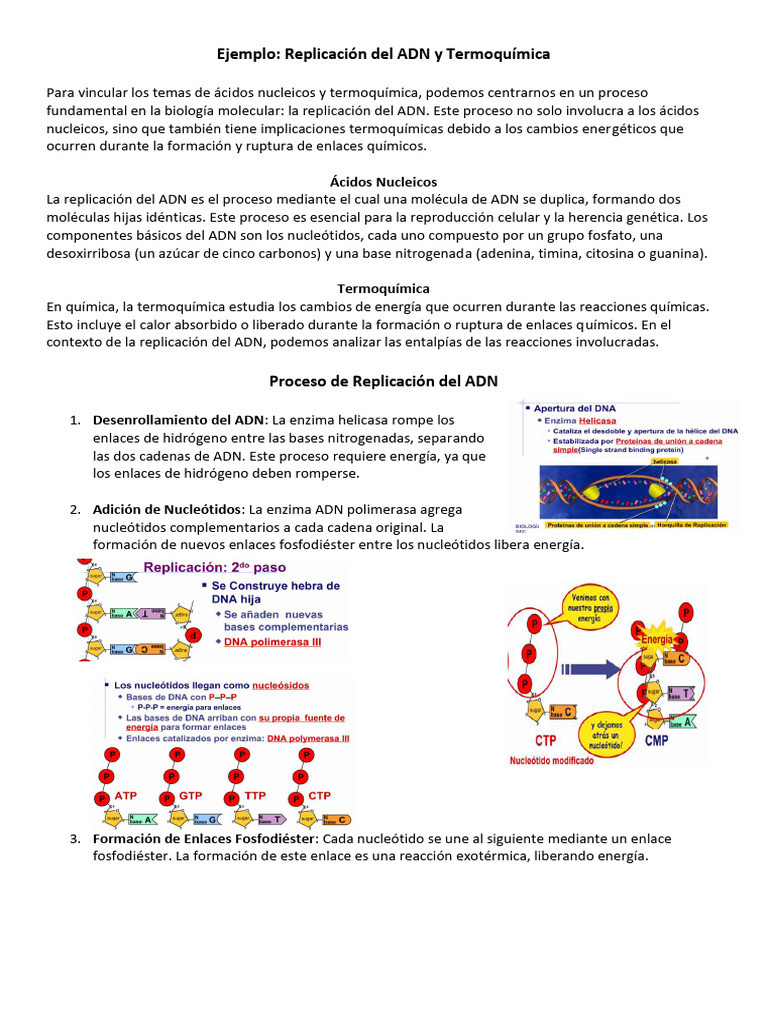 ADN Energia | PDF