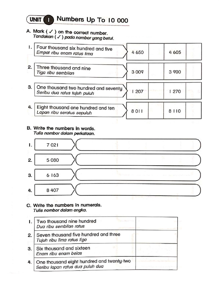 Y3 Mathematics Worksheets | PDF