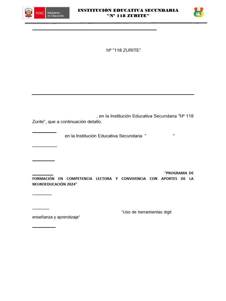 Informe PIP Mayo y Junio 2024 | PDF