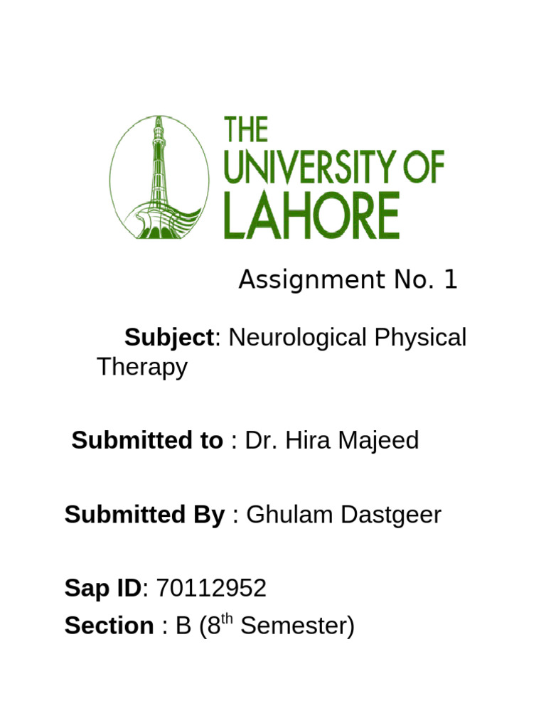 Asssignment no.1 Neuro | PDF