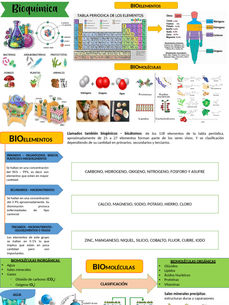 Bioquimica 1 | PDF