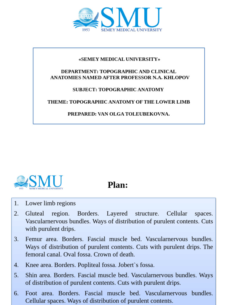 Topographic Anatomy of Lower Limb | PDF