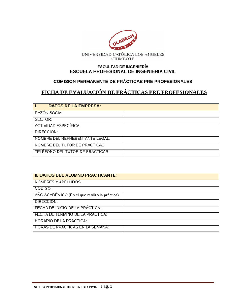 Formato de Evaluacion - Tutor | PDF | Evaluación | Crecimiento personal y profesional