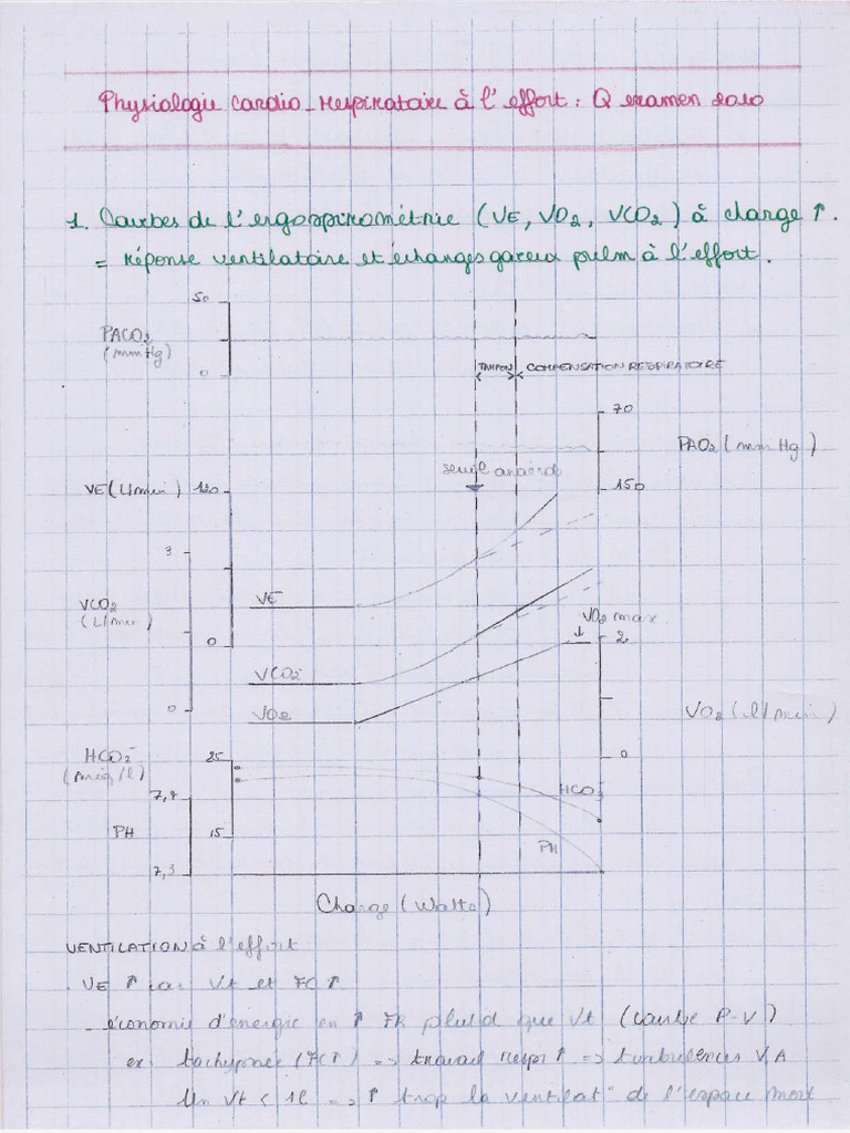 R Sum - Physio | PDF