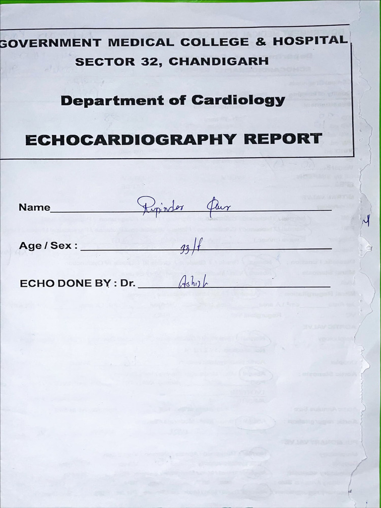 2D Echo Report | PDF